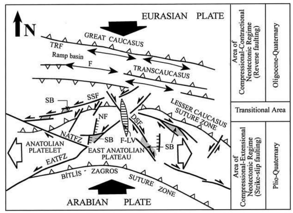 Sketched map showing neotectonic outline of the east