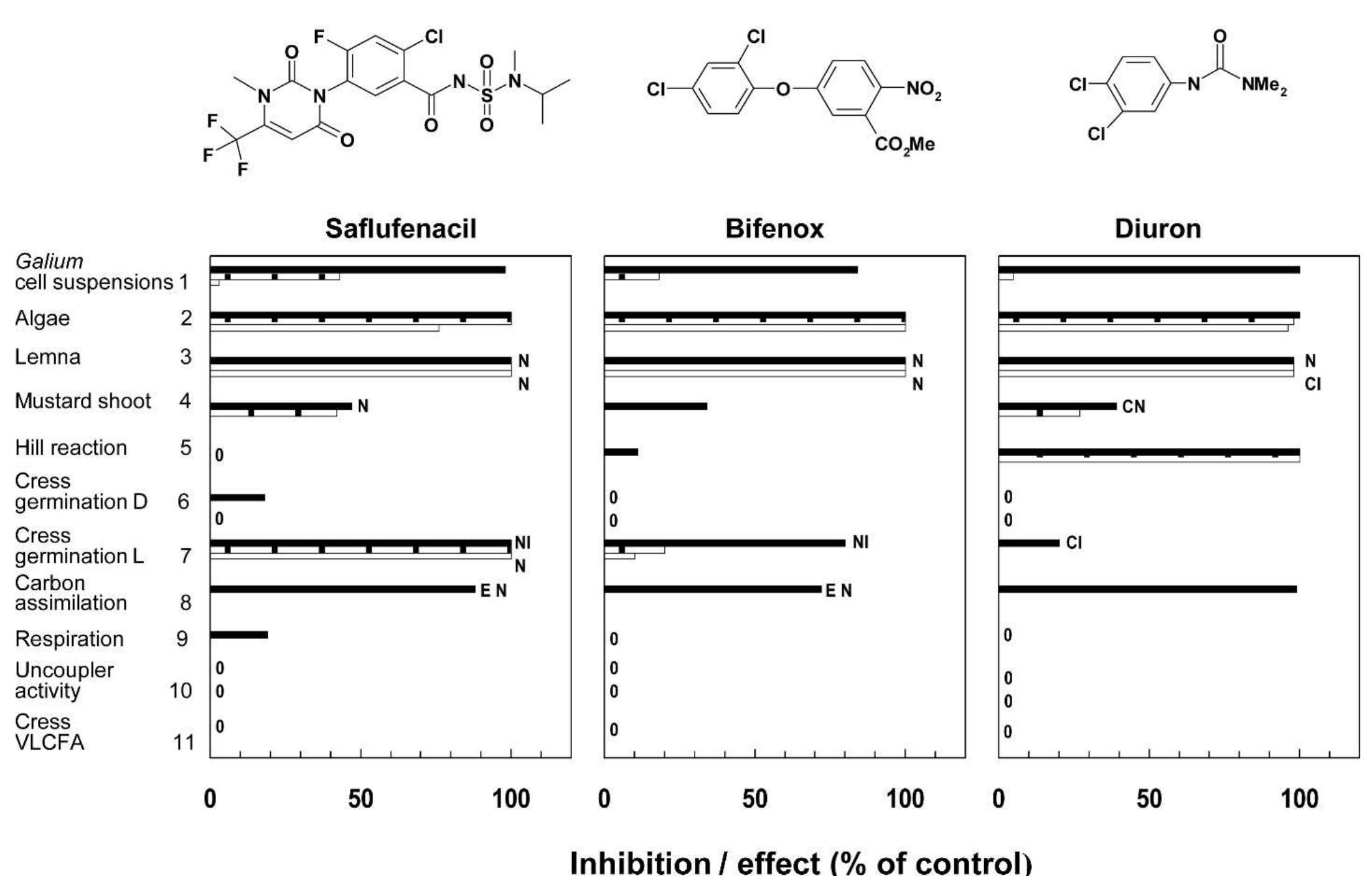 Effects of saflufenacil, bifenox, and diuron in bioassays