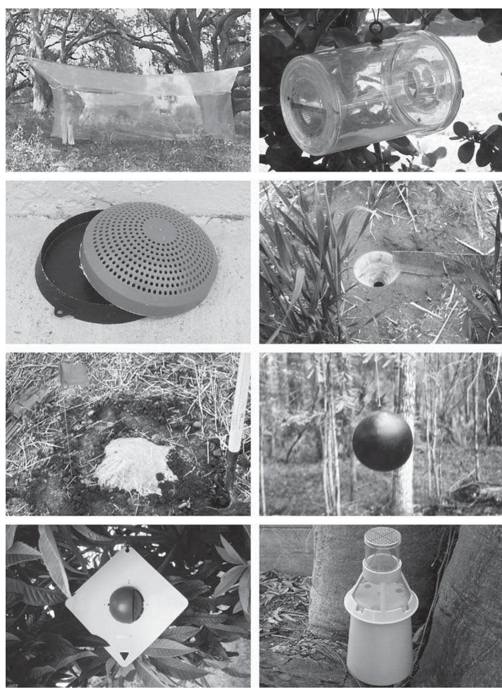 (PDF) Traps for Capturing Insects