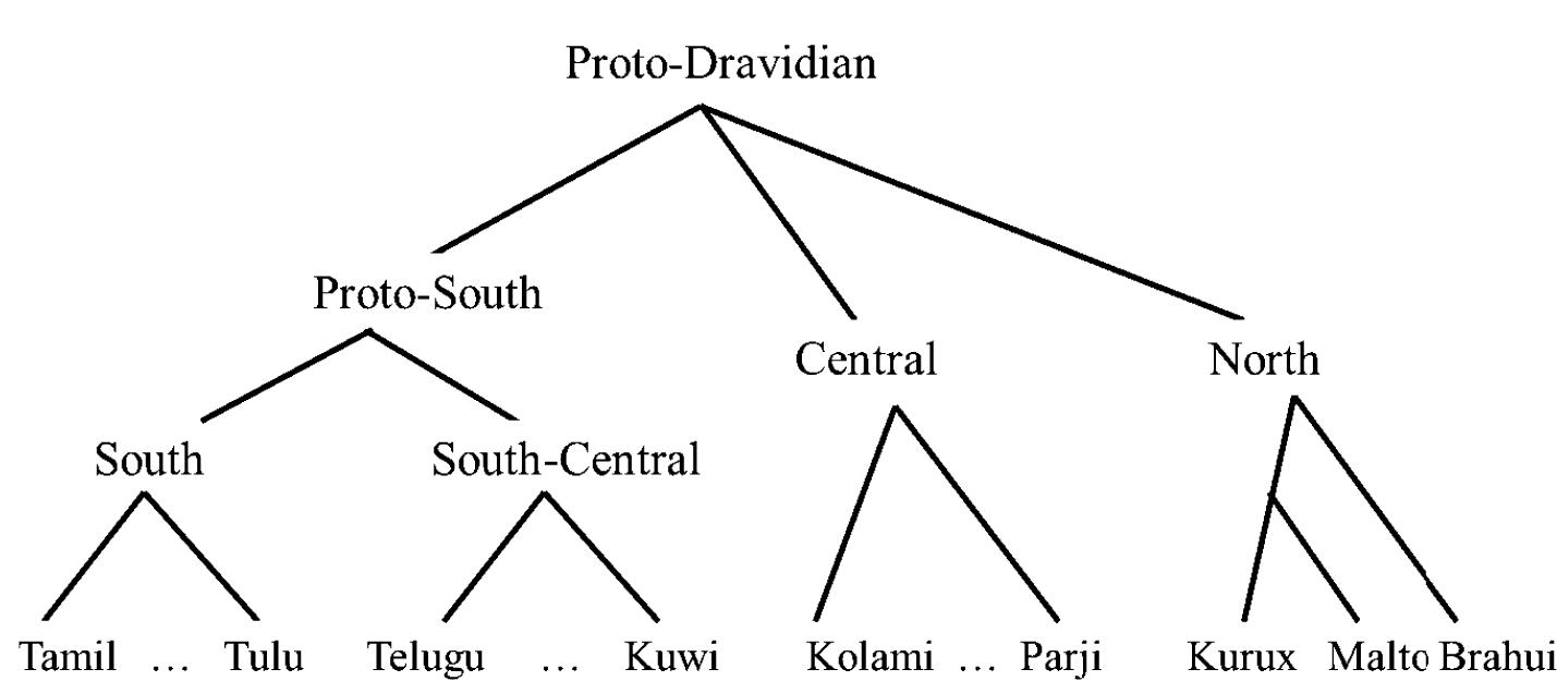 (PDF) Dravidian in "The Languages and Linguistics of South Asia: A ...