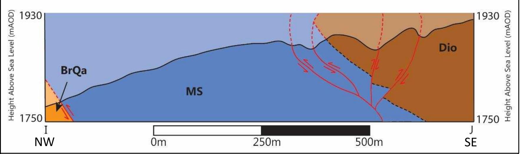 1. cross section of positive flower structure. the positive