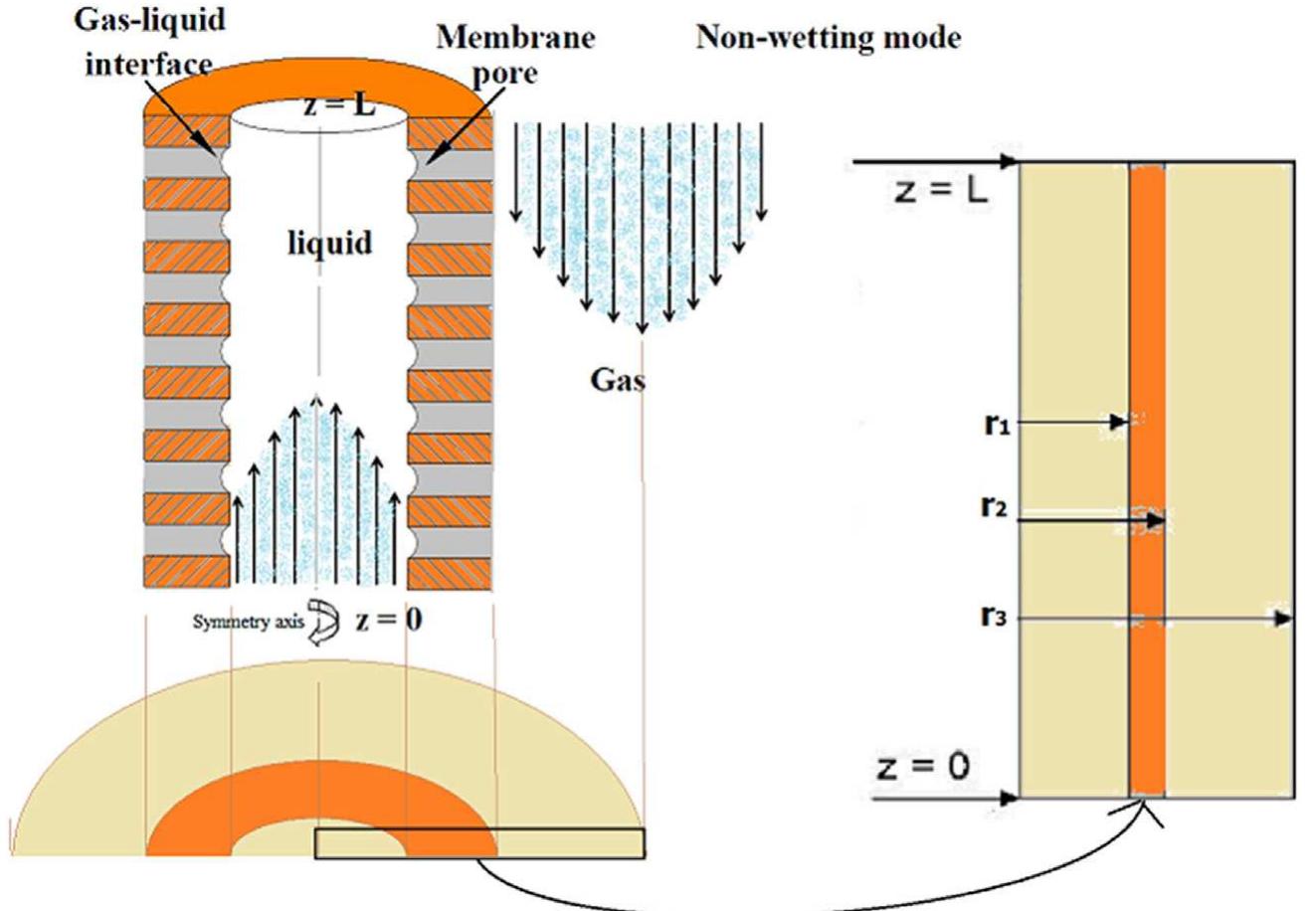 Cross-sectional area of hemc and membrane domain.