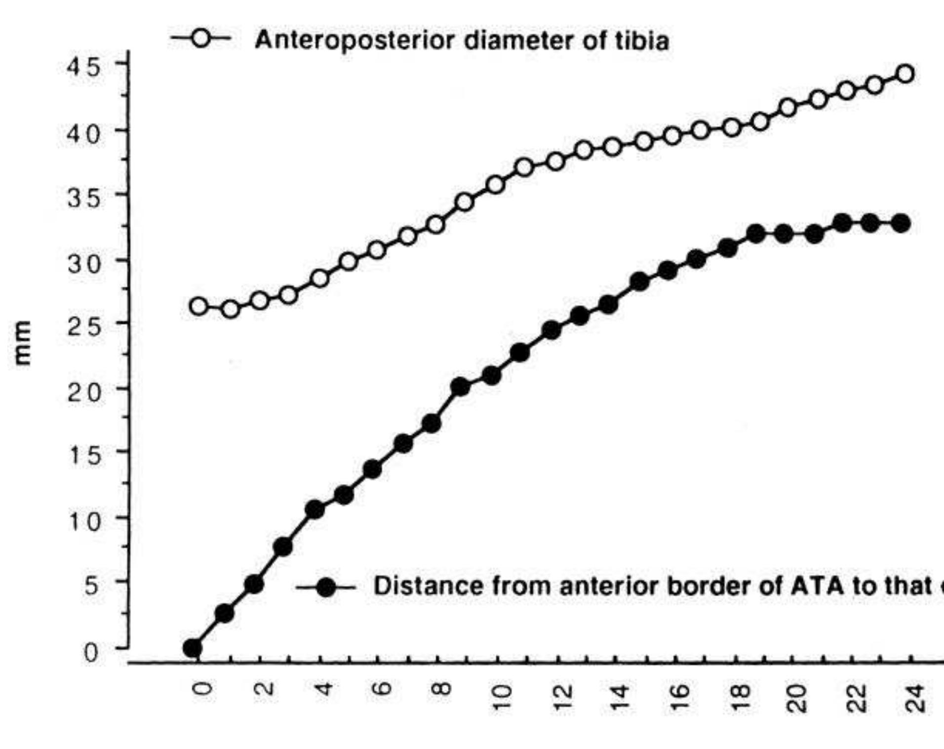 Diagrammatic illustration of the anterior tibial a. secured