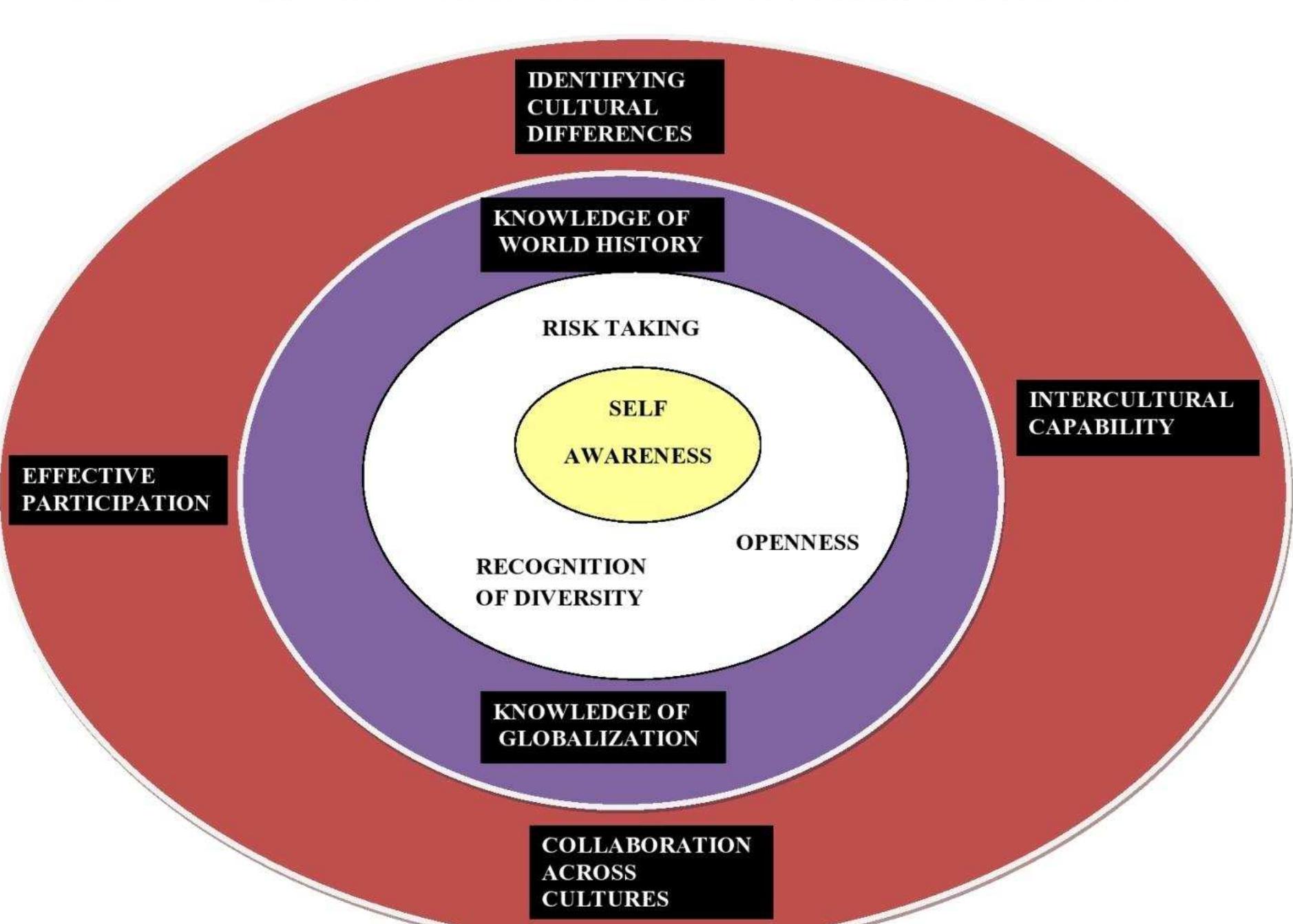 Global competence model developed by hunter (2004) internal