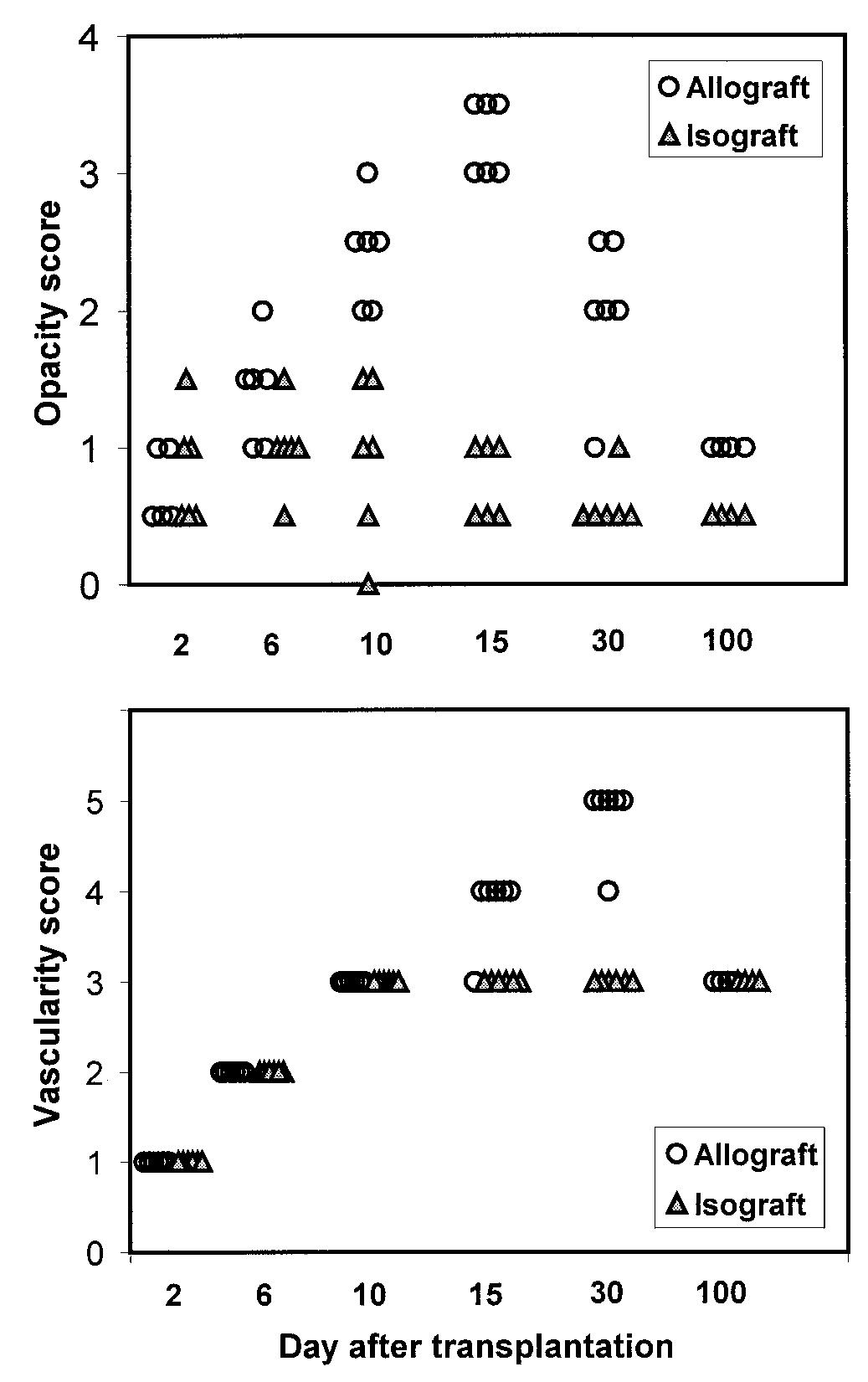 Clinical central corneal opacity (top) and vascularity (bot-