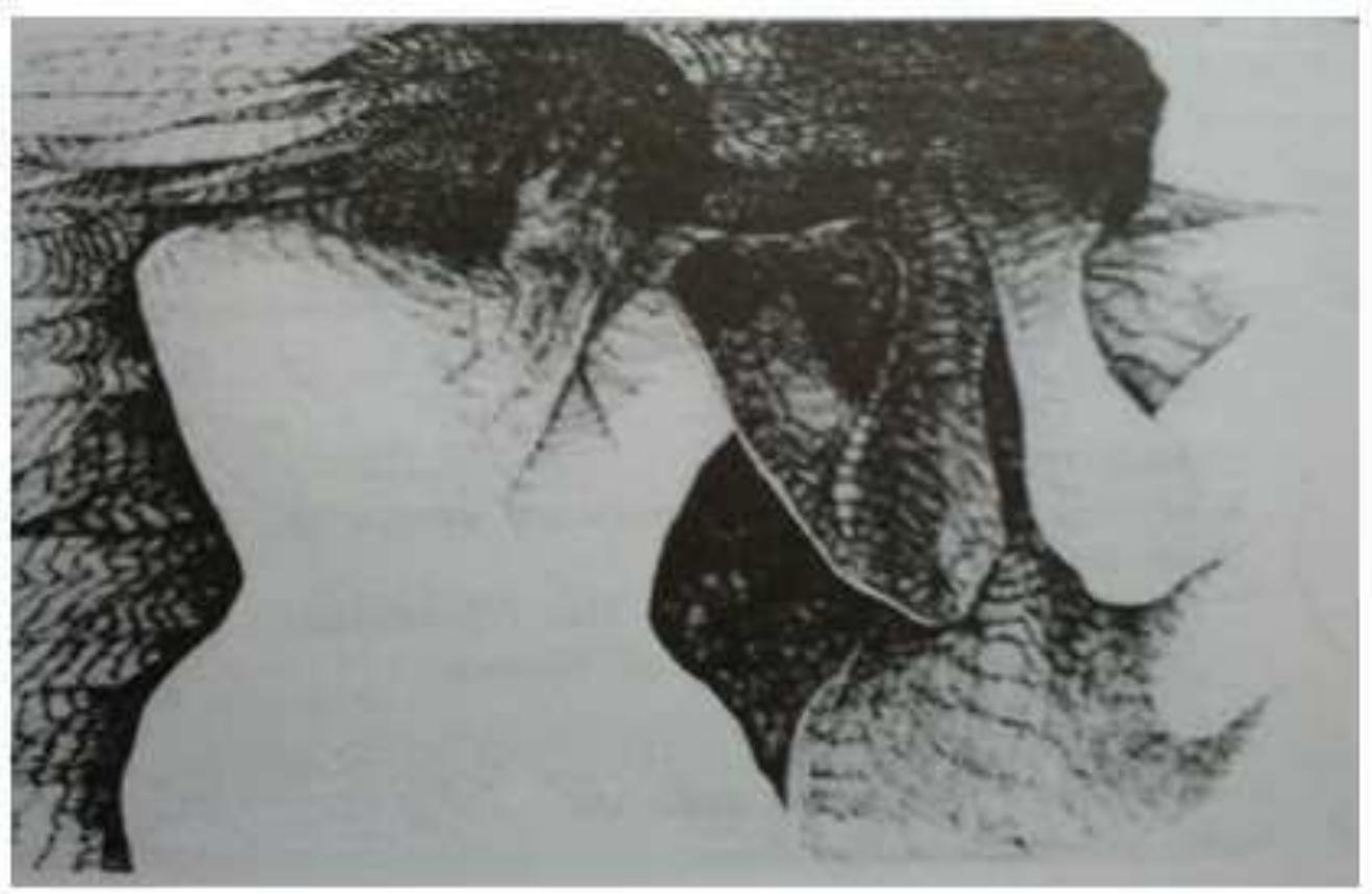 The second sketch with the poem shows two women who are