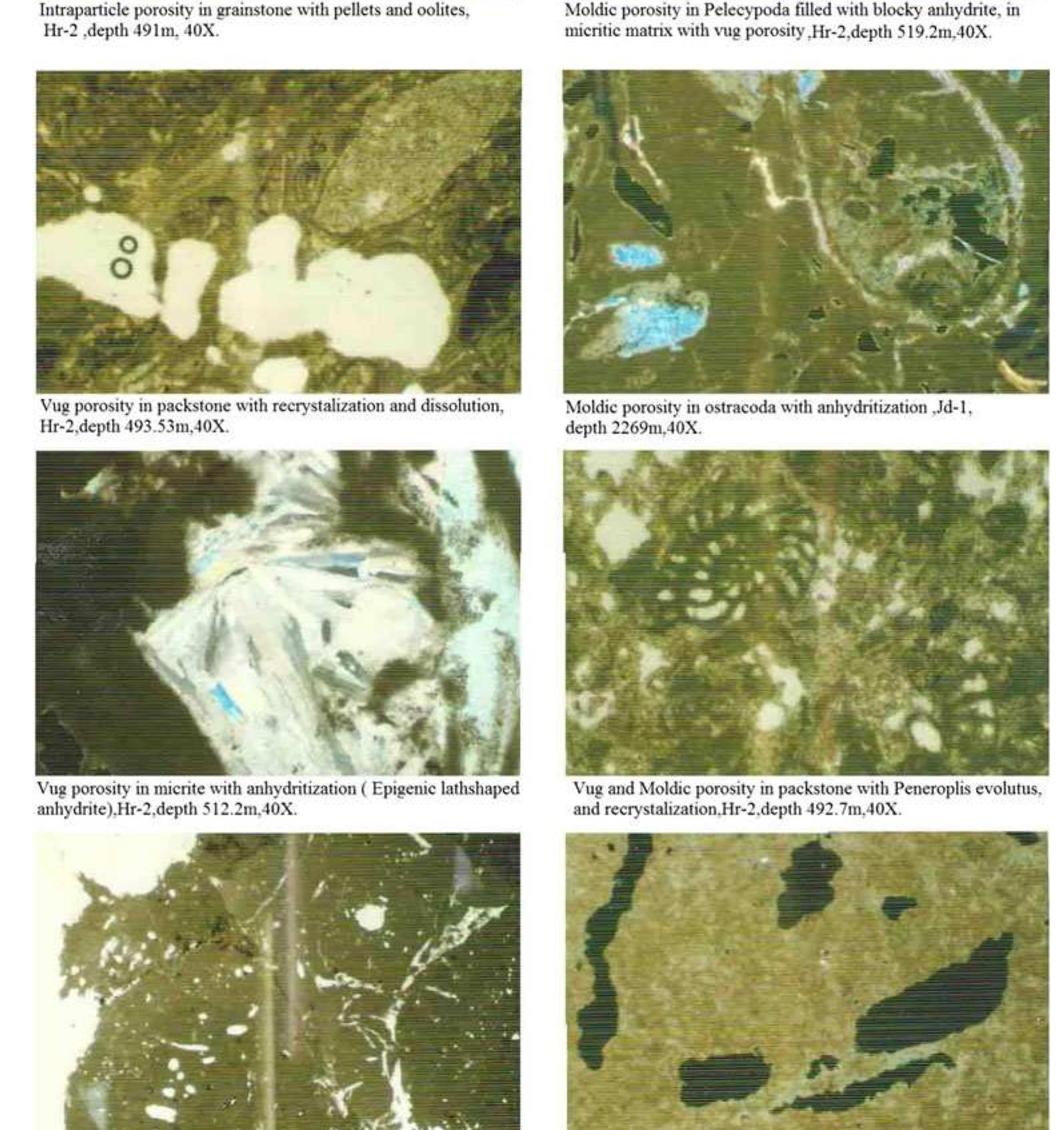 Fracture and intrapartical porosity in basal conglomerate,