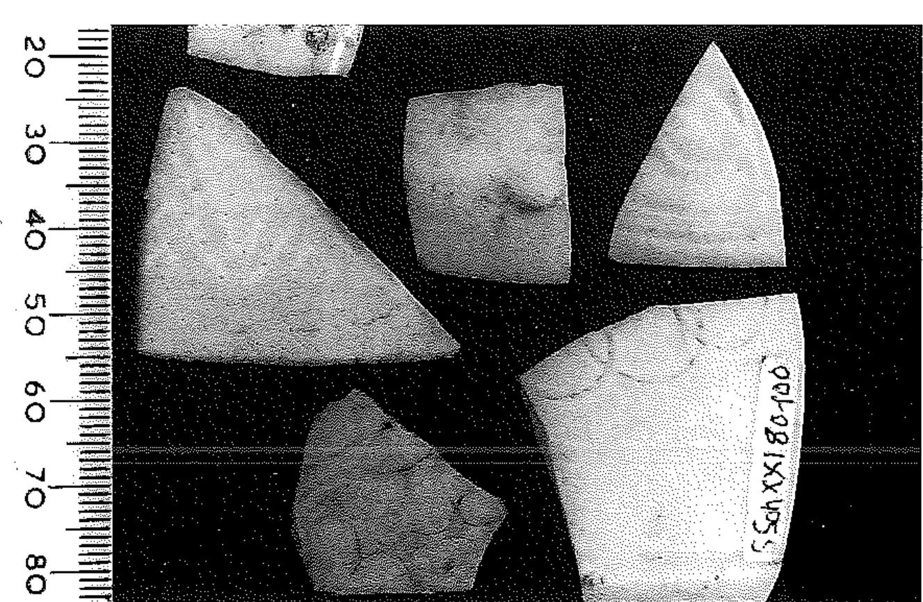 Figure 12 - Behind the Shadows: archaeological data on