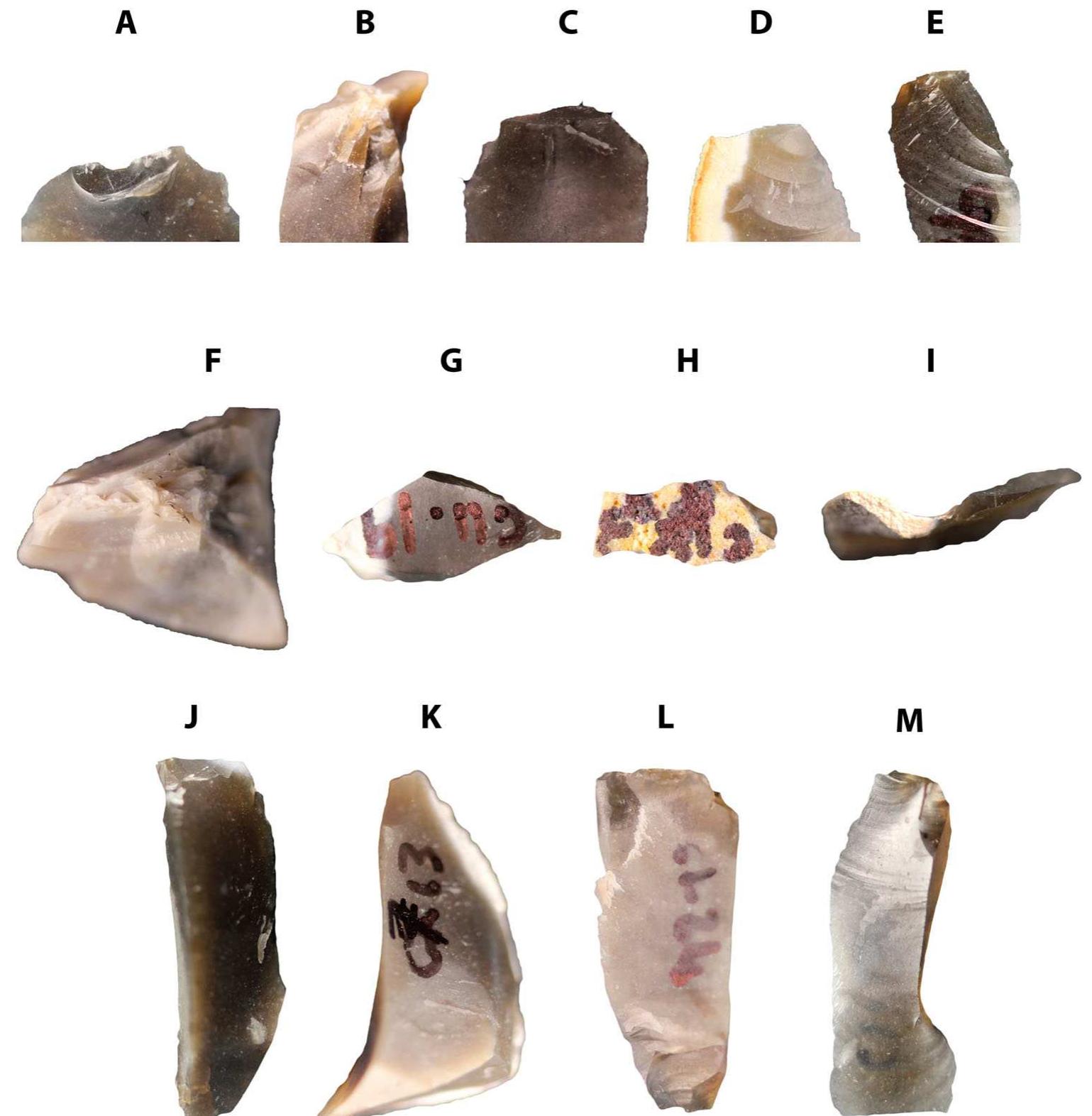 (PDF) Quantifying and Comparing Bipolar Versus Freehand Flake ...