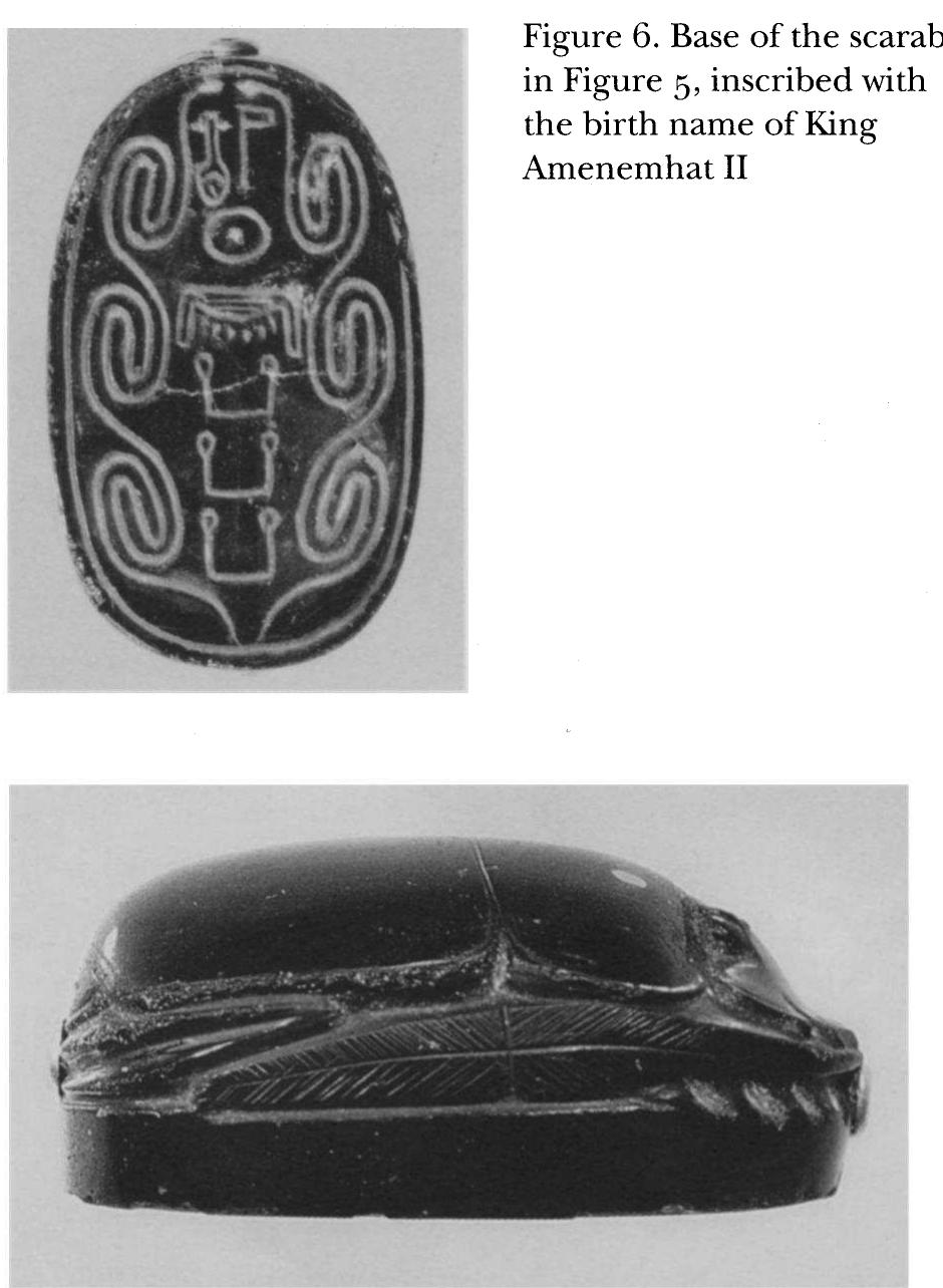 Side view of the scarab in figure 5