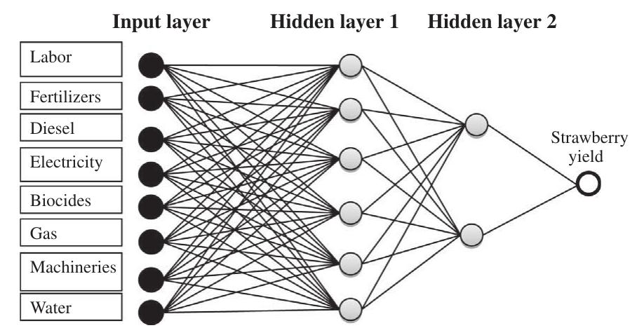 The structure of back propagation neural network. _ in order
