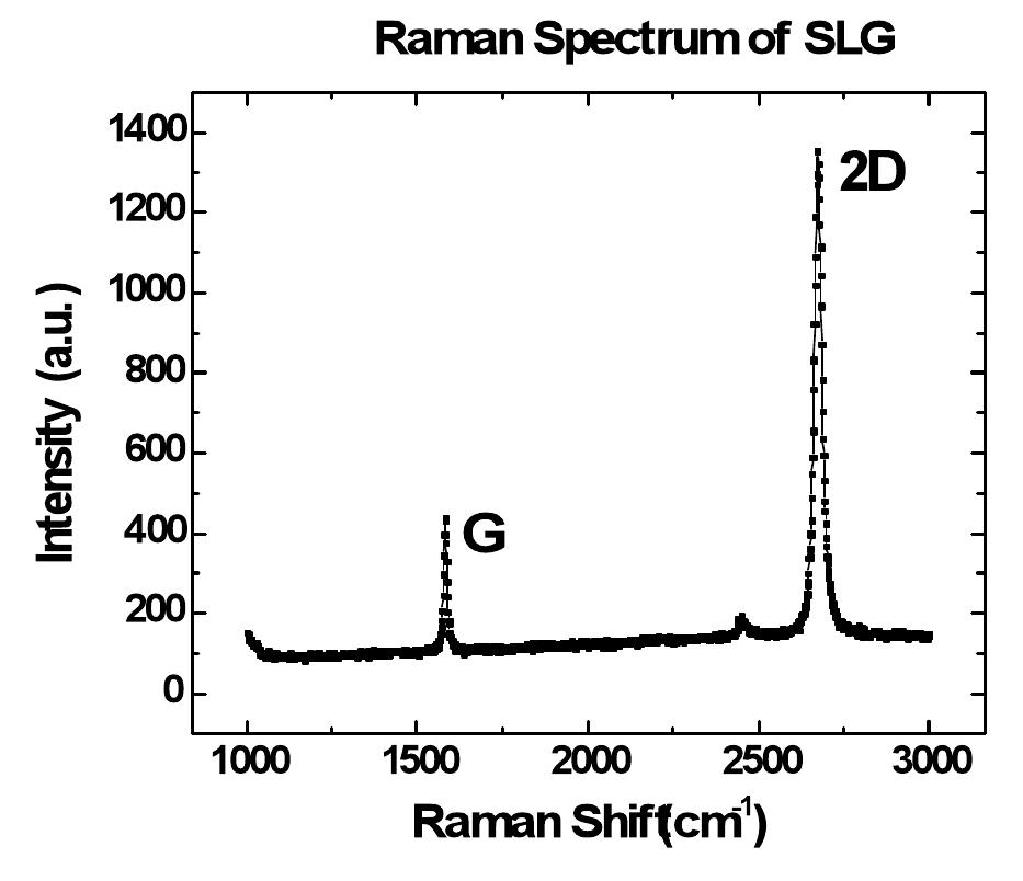 -3. raman spectrum for a typical slg sample. two