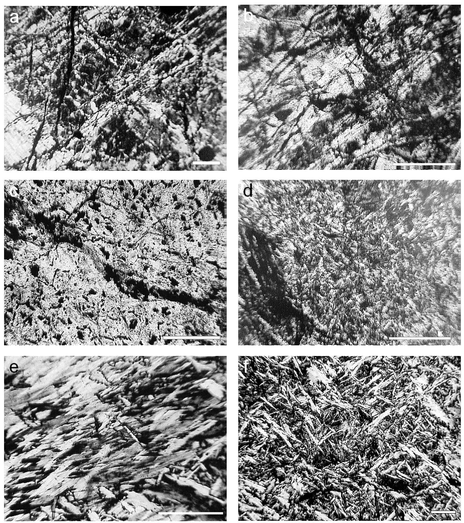 Textures in serpentinite rocks: a — hourglass texture formed