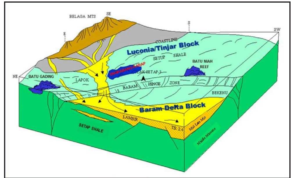 Schematic block diagram of northern sarawak with a regional