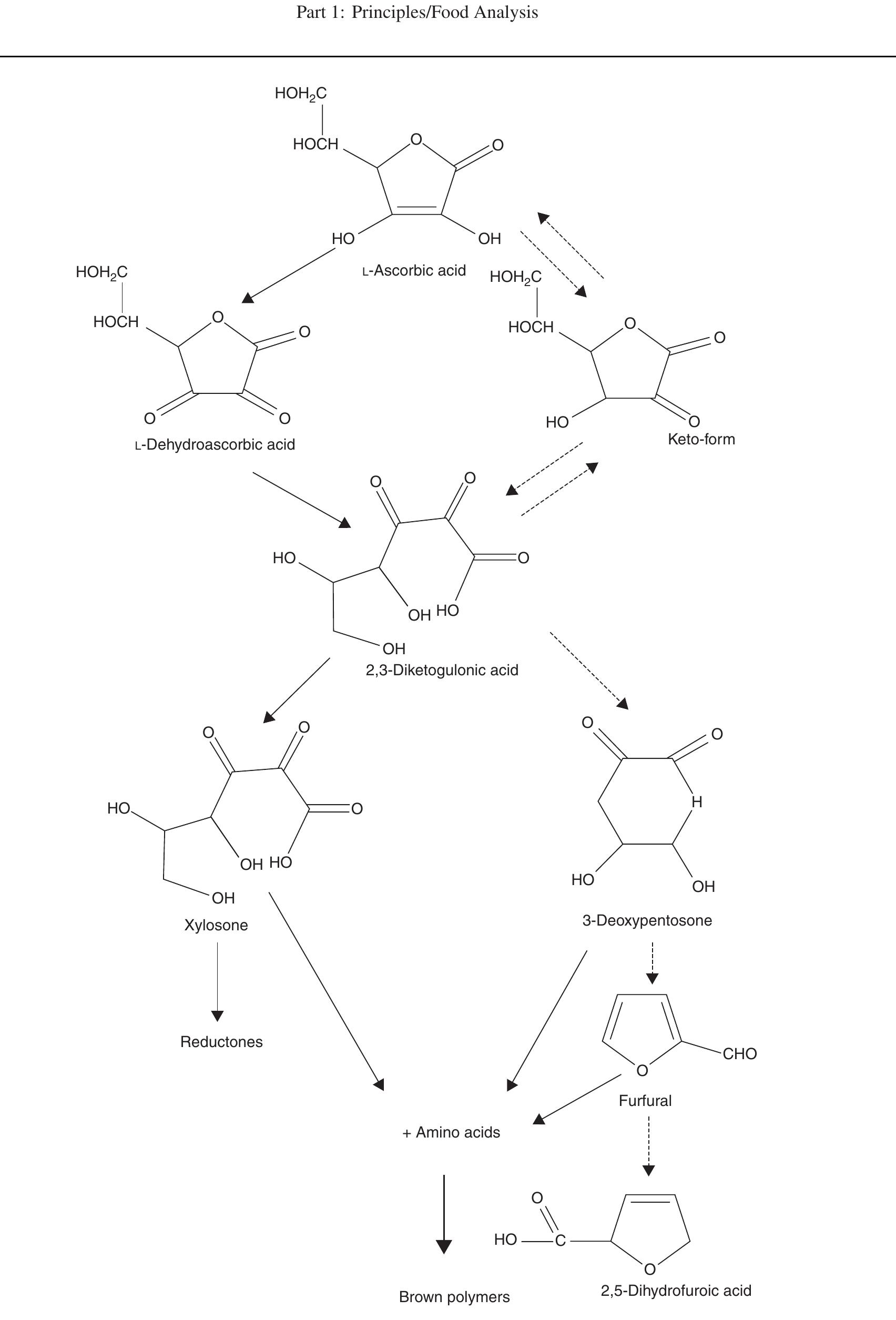 10. pathways of ascorbic acid degradation (solid line,