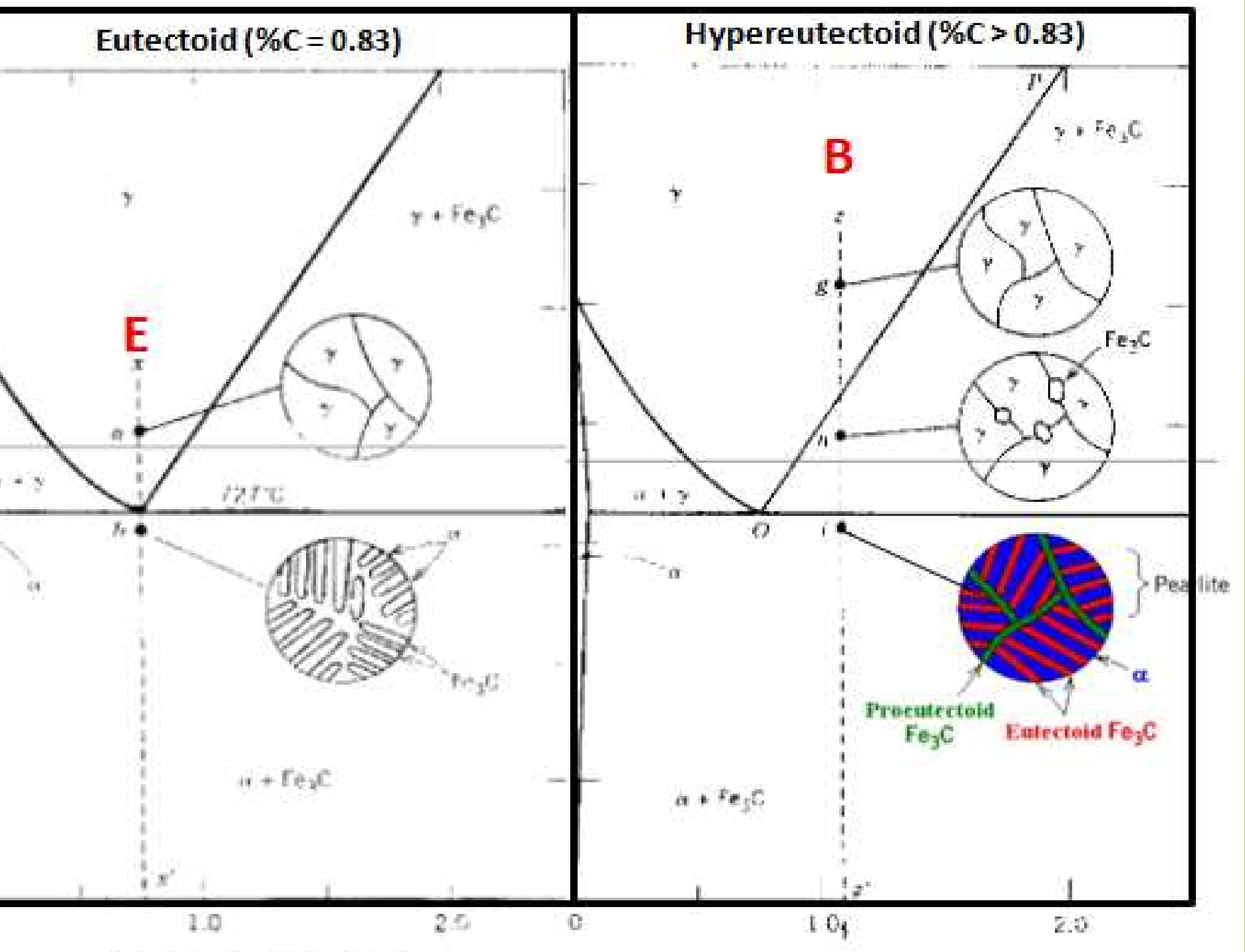 Figure 4 - The TEMPCORE Process
