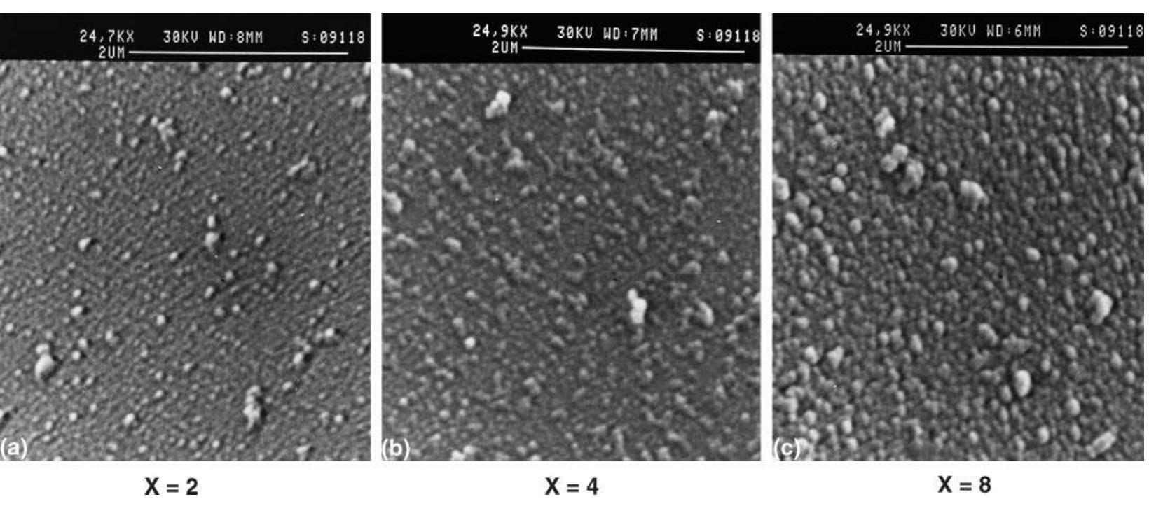 Sem micrographs of the as-quenched glass samples.