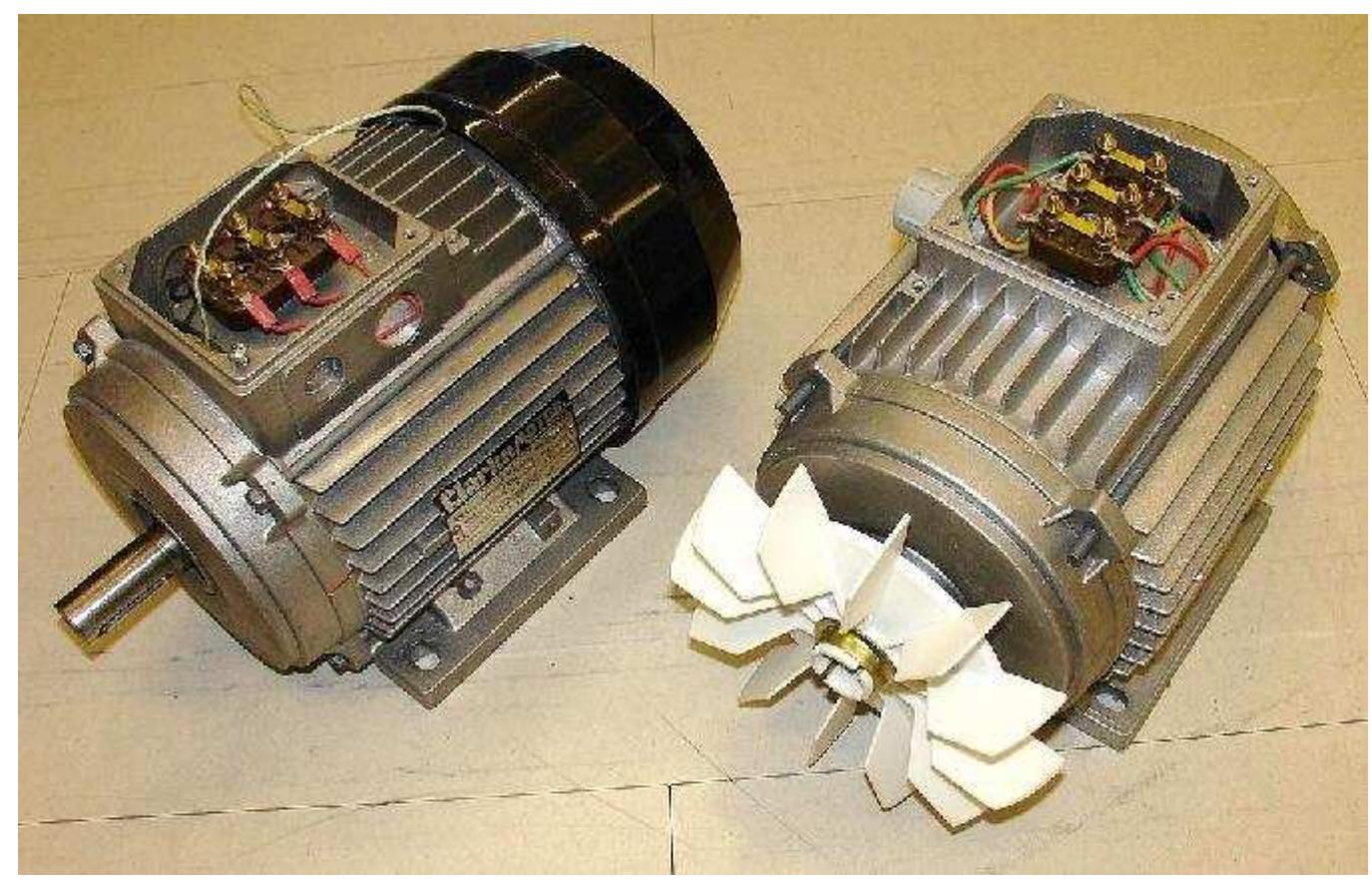 Single phase induction motor three-phase squirrel-cage