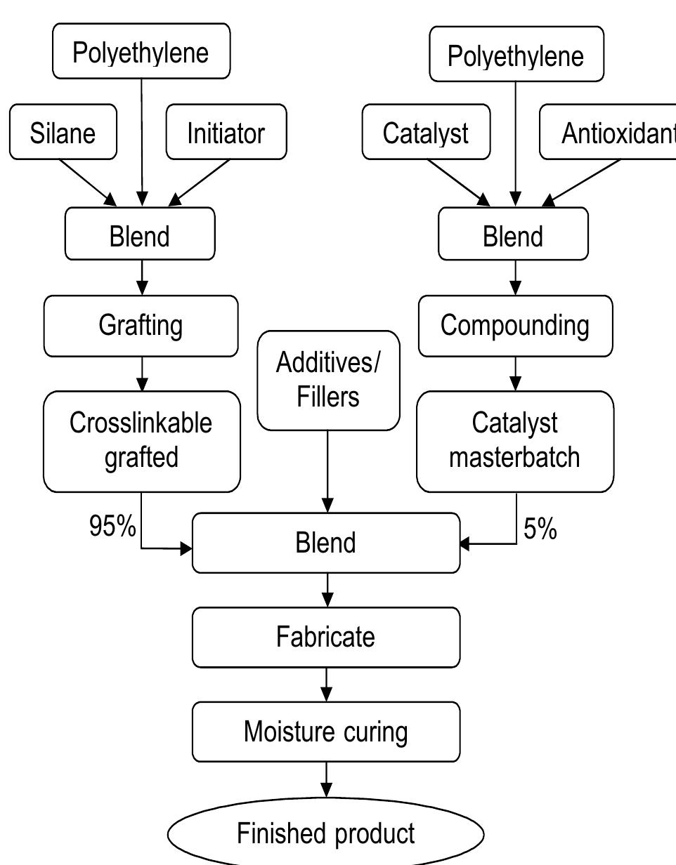 Procedures of sioplas® process.