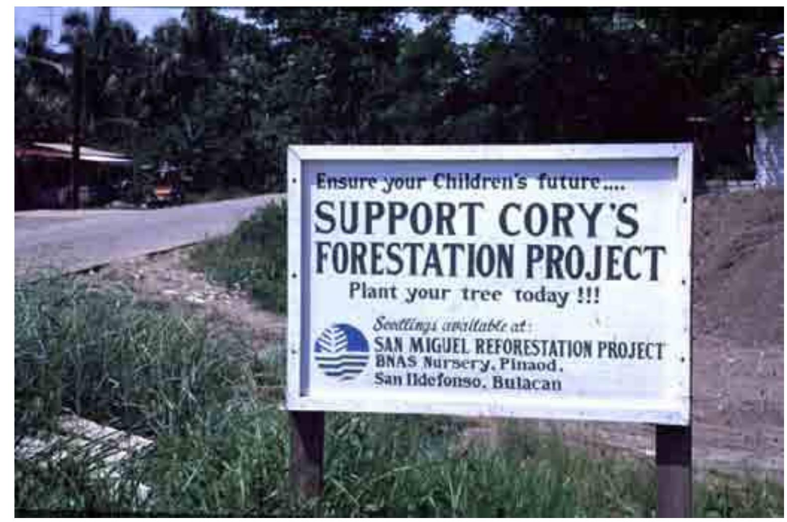 Large scale reforestation projects were started in the late