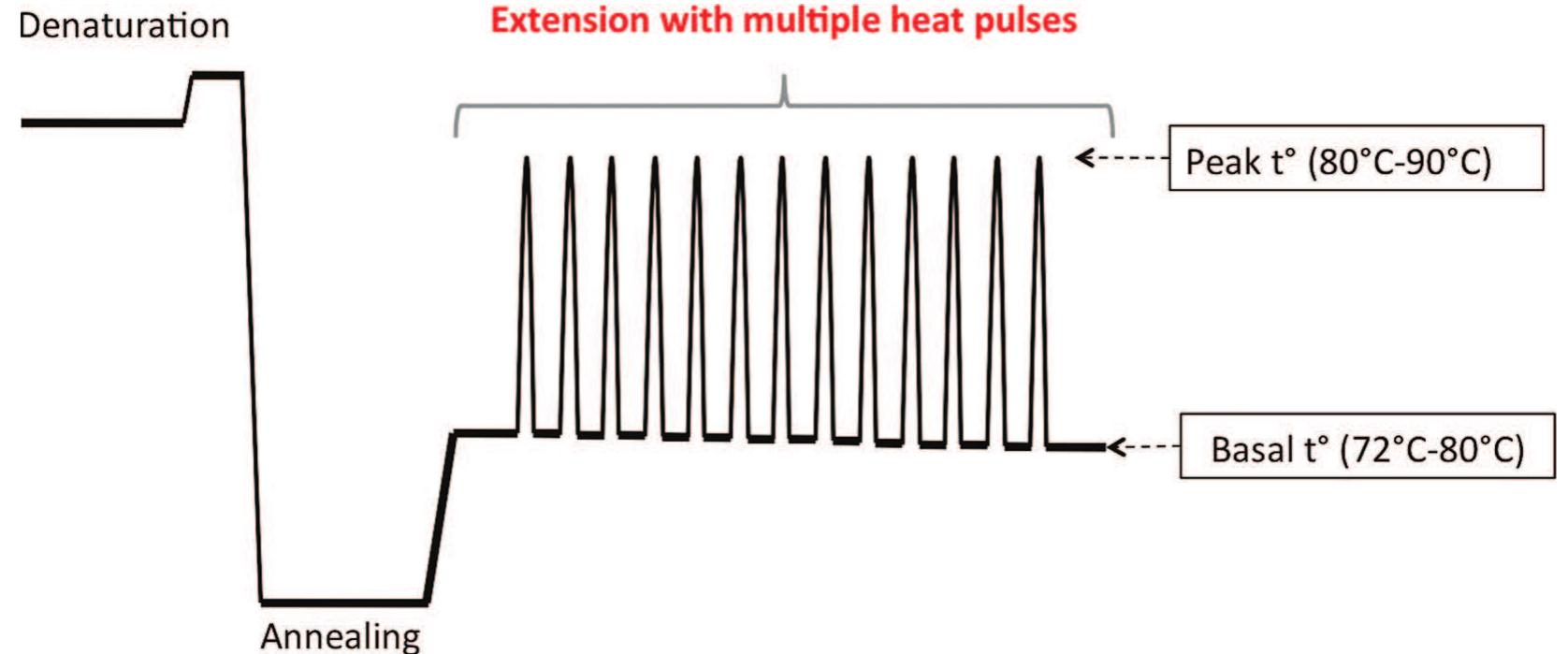 Illustrative temperature profile for each cycle of the heat