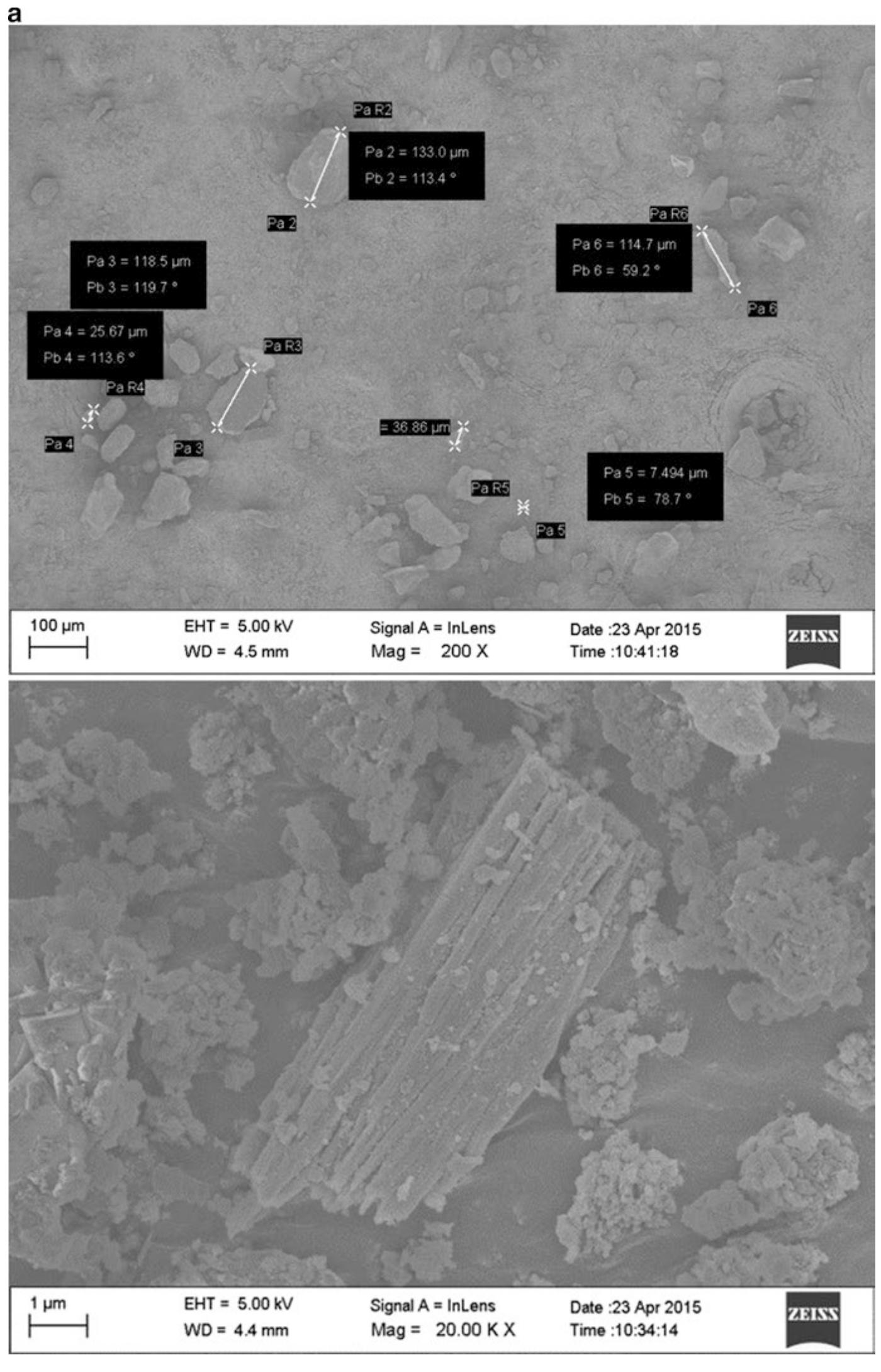 1a sem images of red mud waste depicting irregular shaped