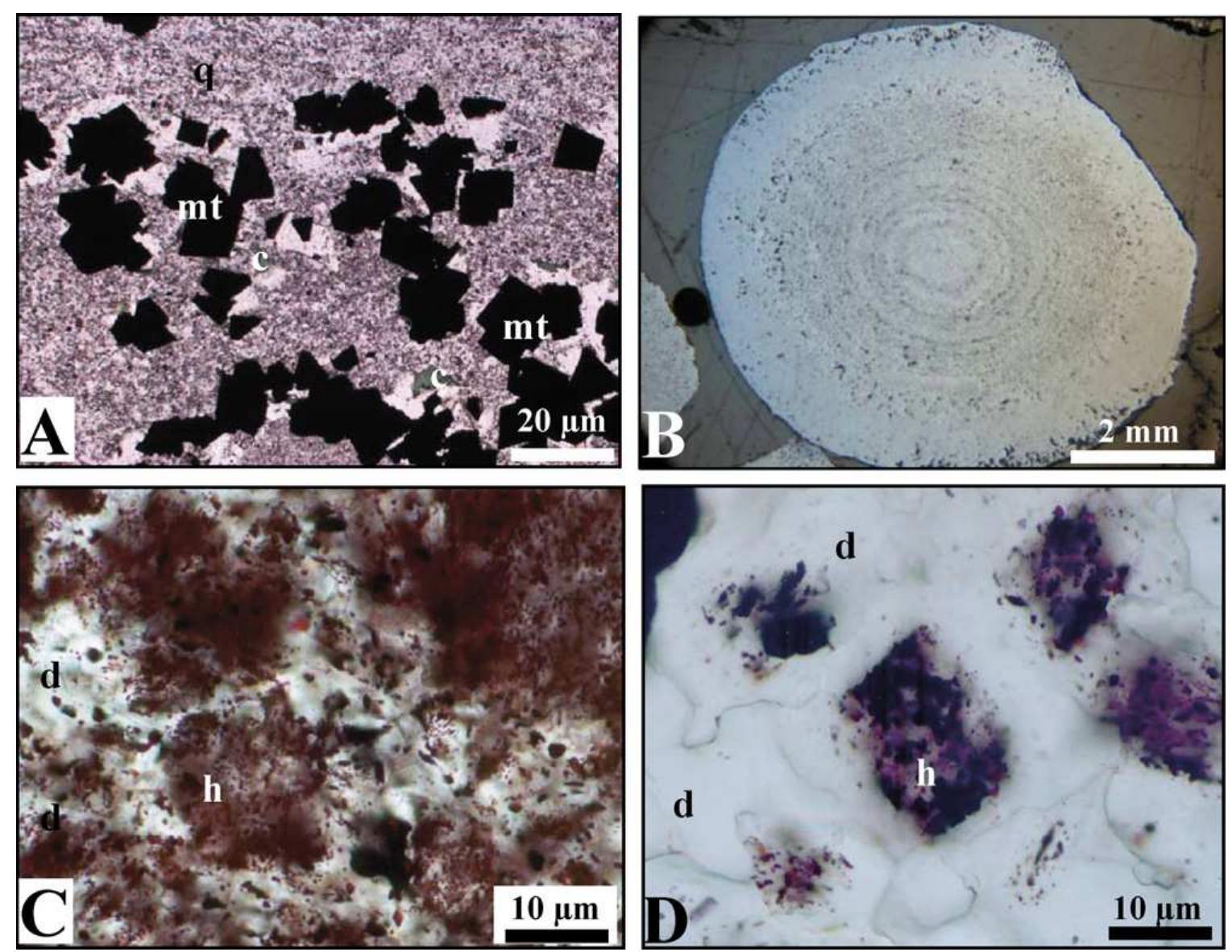 Photomicrographs of various rock types of the base of the