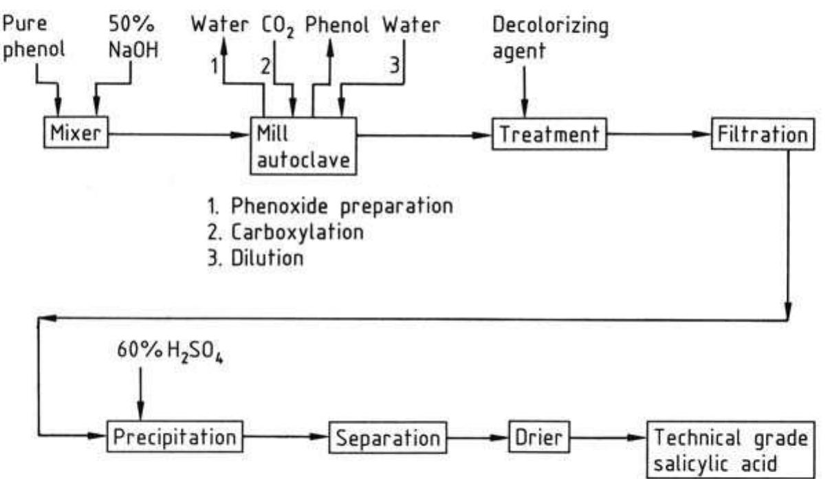 Simplified representation of salicylic acid production by