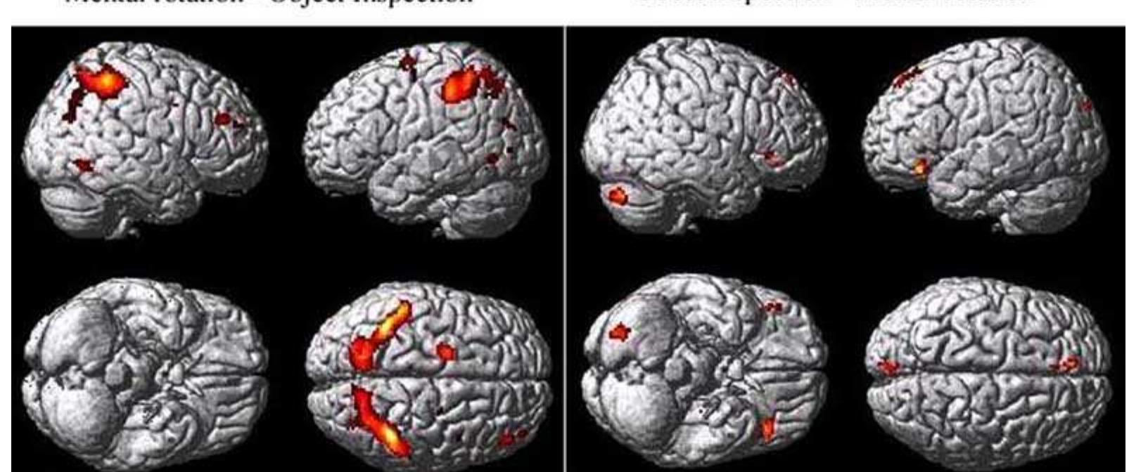 (2). the group map showing the mental rotation minus object