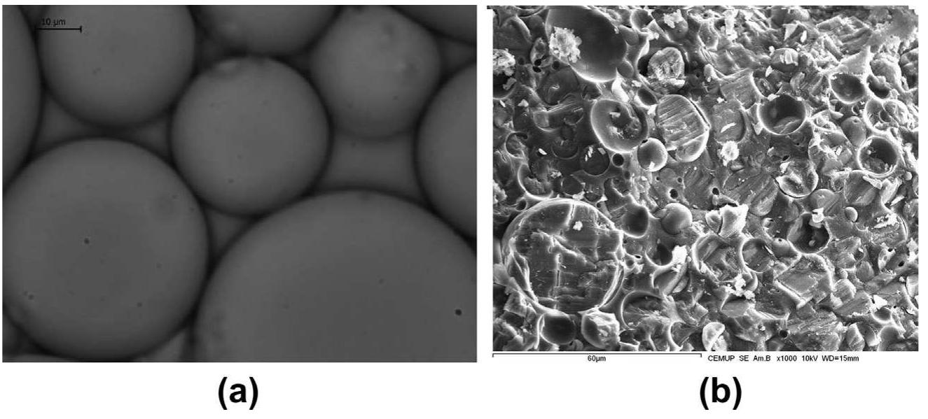 Optical (a) and cryo-sem (b) microscopy images of pla
