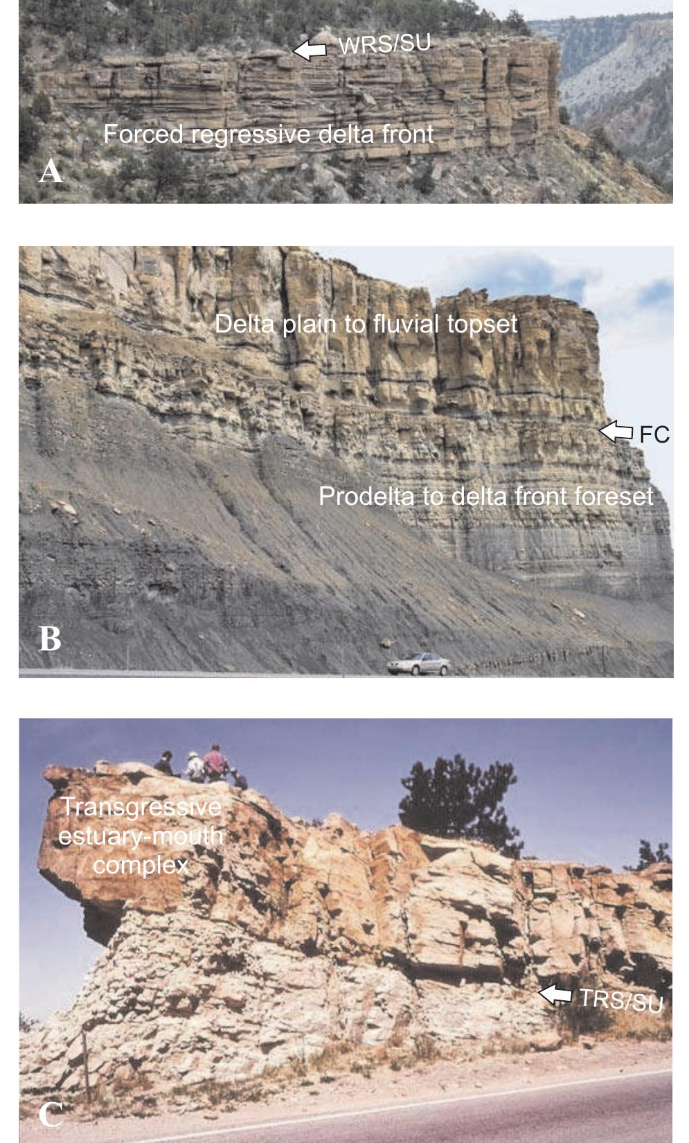 Types of shoreline trajectory: outcrop examples. a — forced