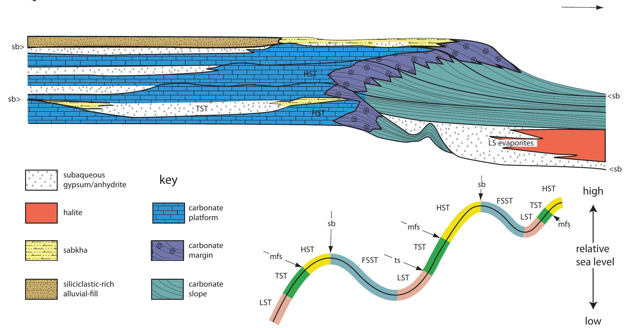 Summary diagram of evaporite-carbonate lithofacies