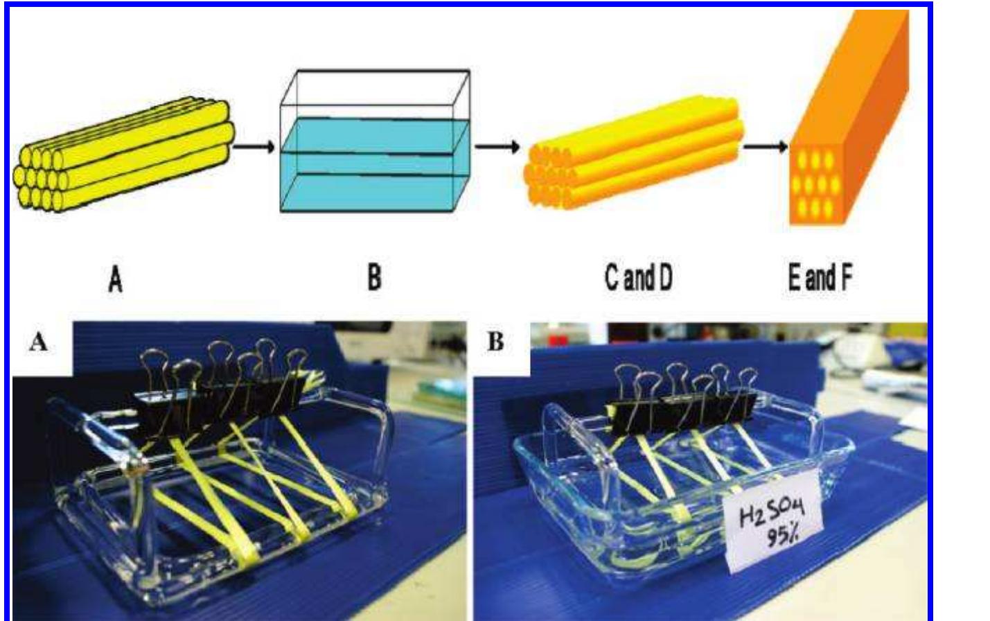 Schematics and pictures of the selective surface dissolution