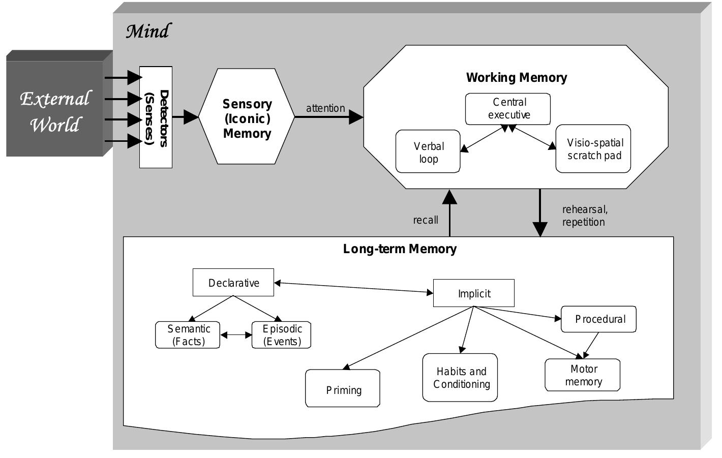 A map of the structure of human memory. adapted from [2] and
