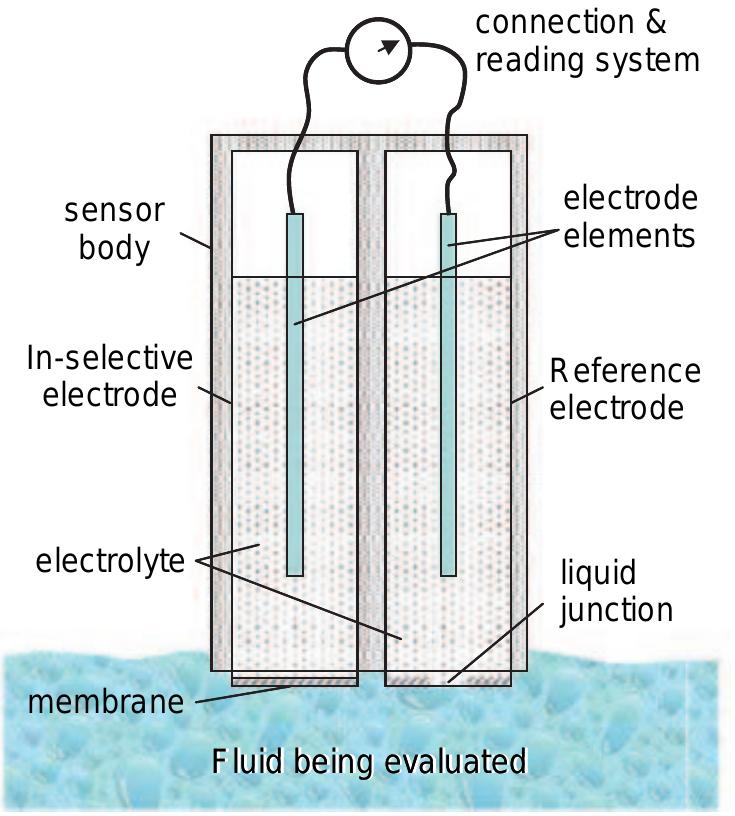 Ion selective electrodes (ise) are membrane electrodes that