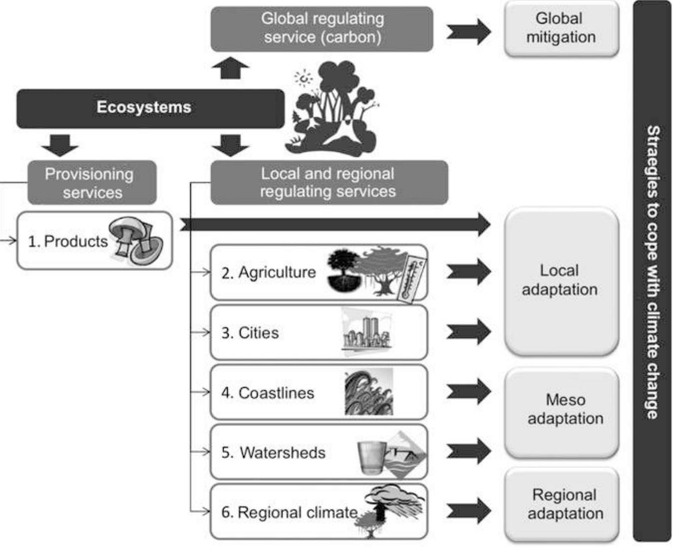 (PDF) Impact of Climate Change on Ecosystem Services