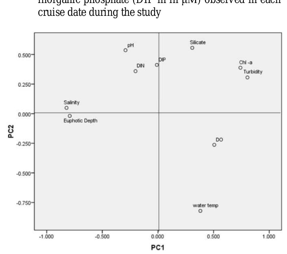 —scatter diagram based on the first two components derived