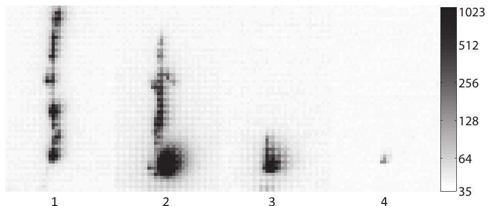 Tether and end-mass imaging tests with sun-equivalent