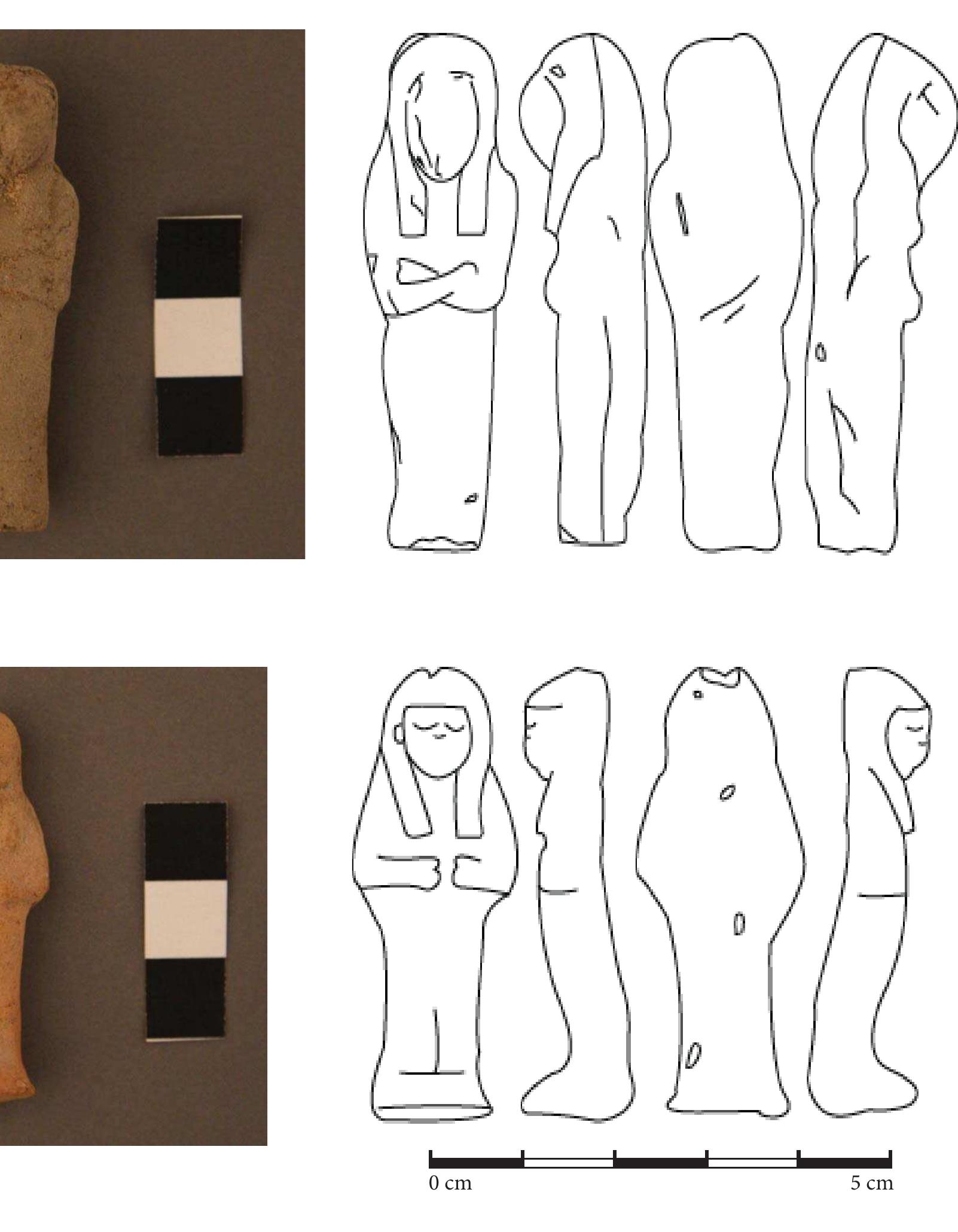 Meredith Brand - The American University In Cairo