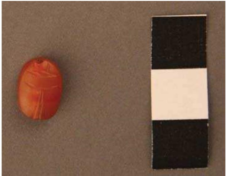 Meredith Brand - The American University In Cairo