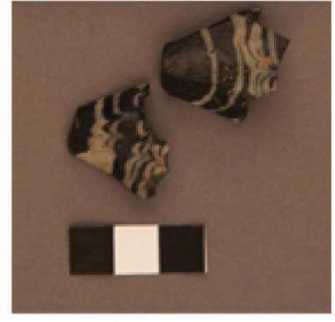 Meredith Brand - The American University In Cairo