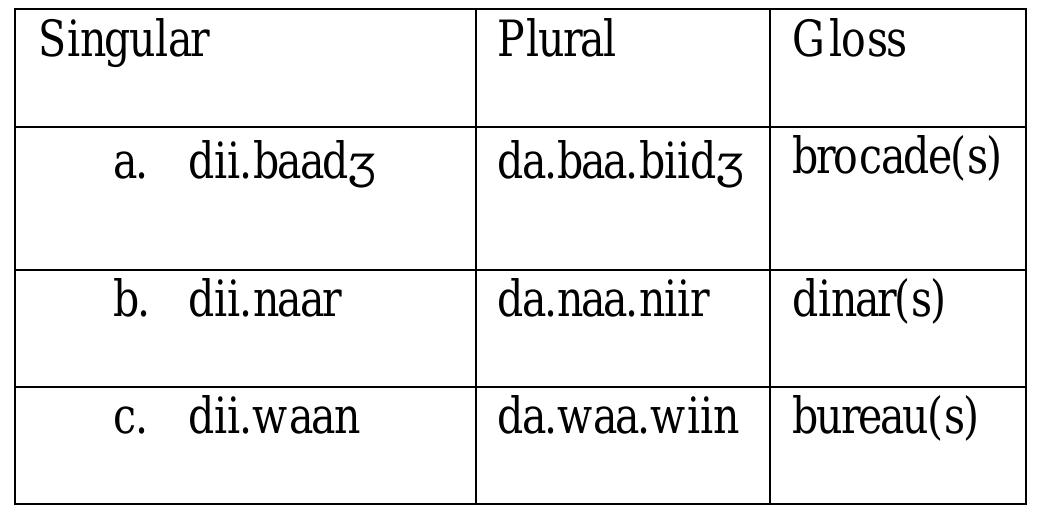Comparing the singular forms to the plural forms in (14)