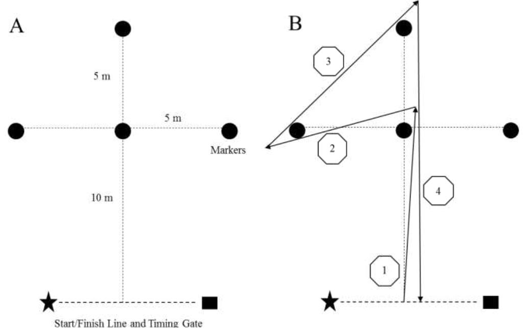 (a) dimensions of the arrowhead cod test, and (b) running