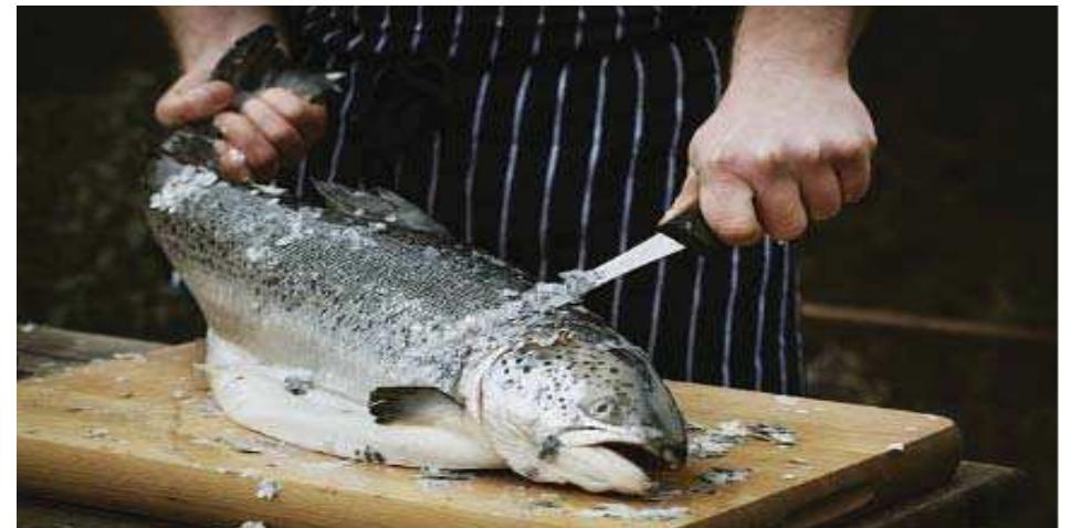 Manual descaling of bream fish (minty images 2017) fish