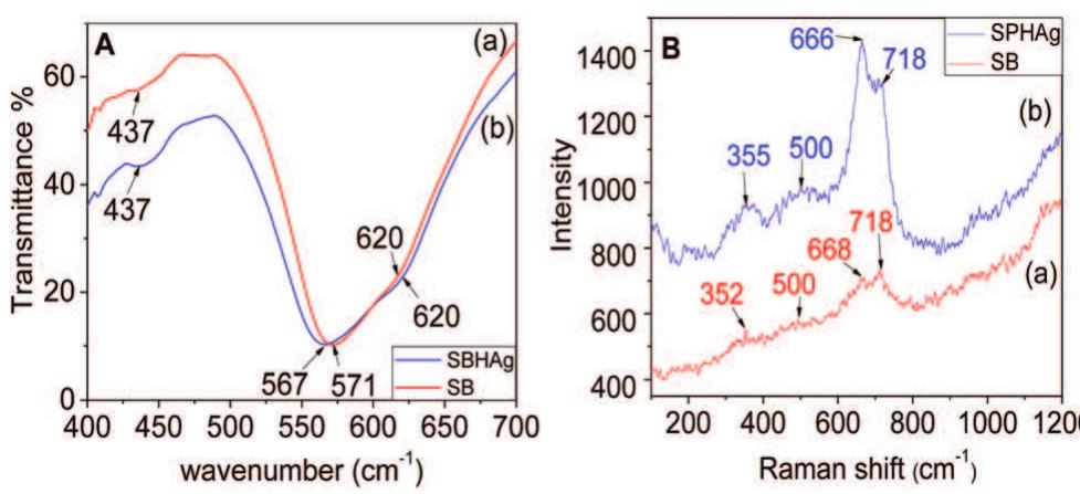 (a) ftir spectra of (a) sb and (b) sphag; (b) raman spectra