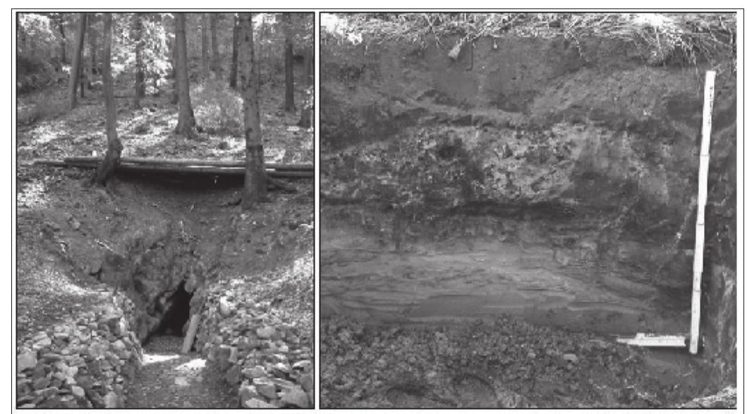Different types of ores. left: mined vein in crystalline