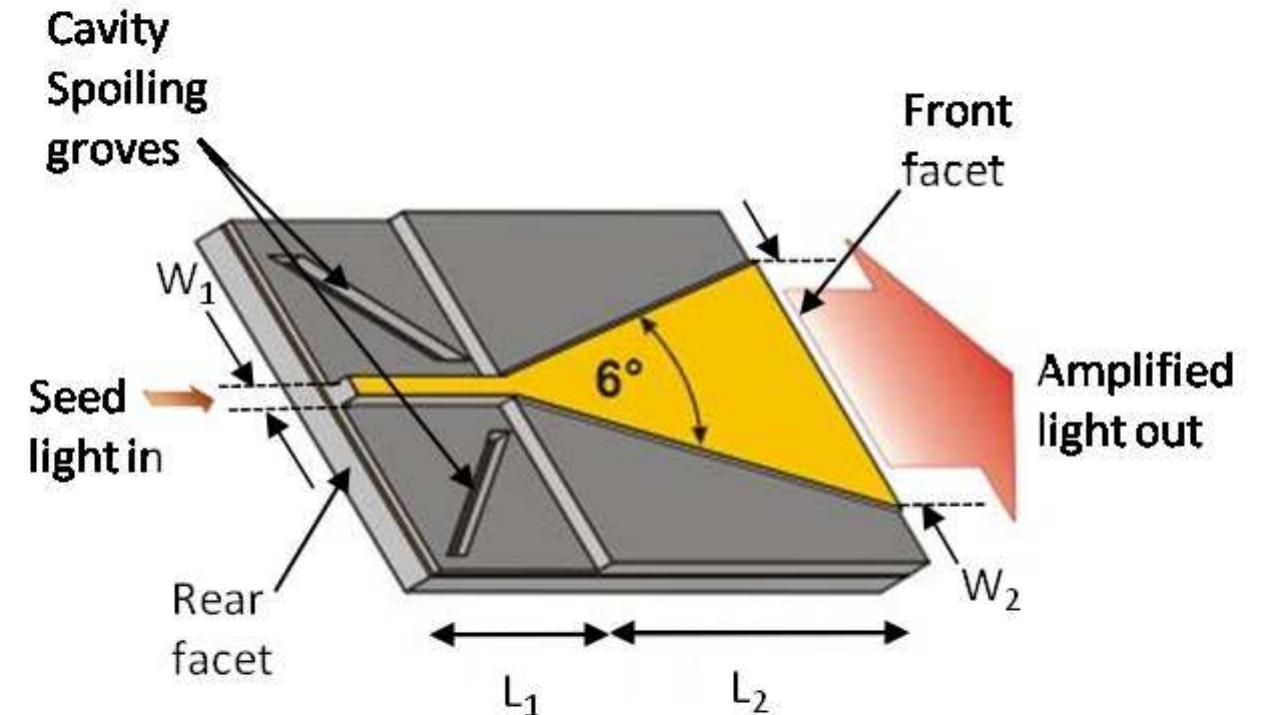 Schematic of a ta chip with the ridge waveguide and the