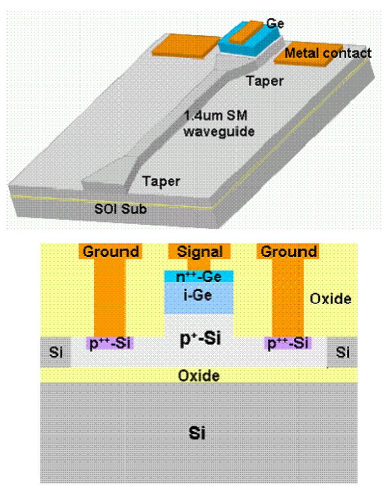 Of the photodetector and a schematic of the cross section
