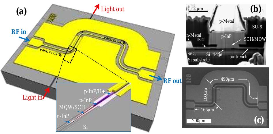 (a) schematic of a distributed hseam. inset: enlarged taper