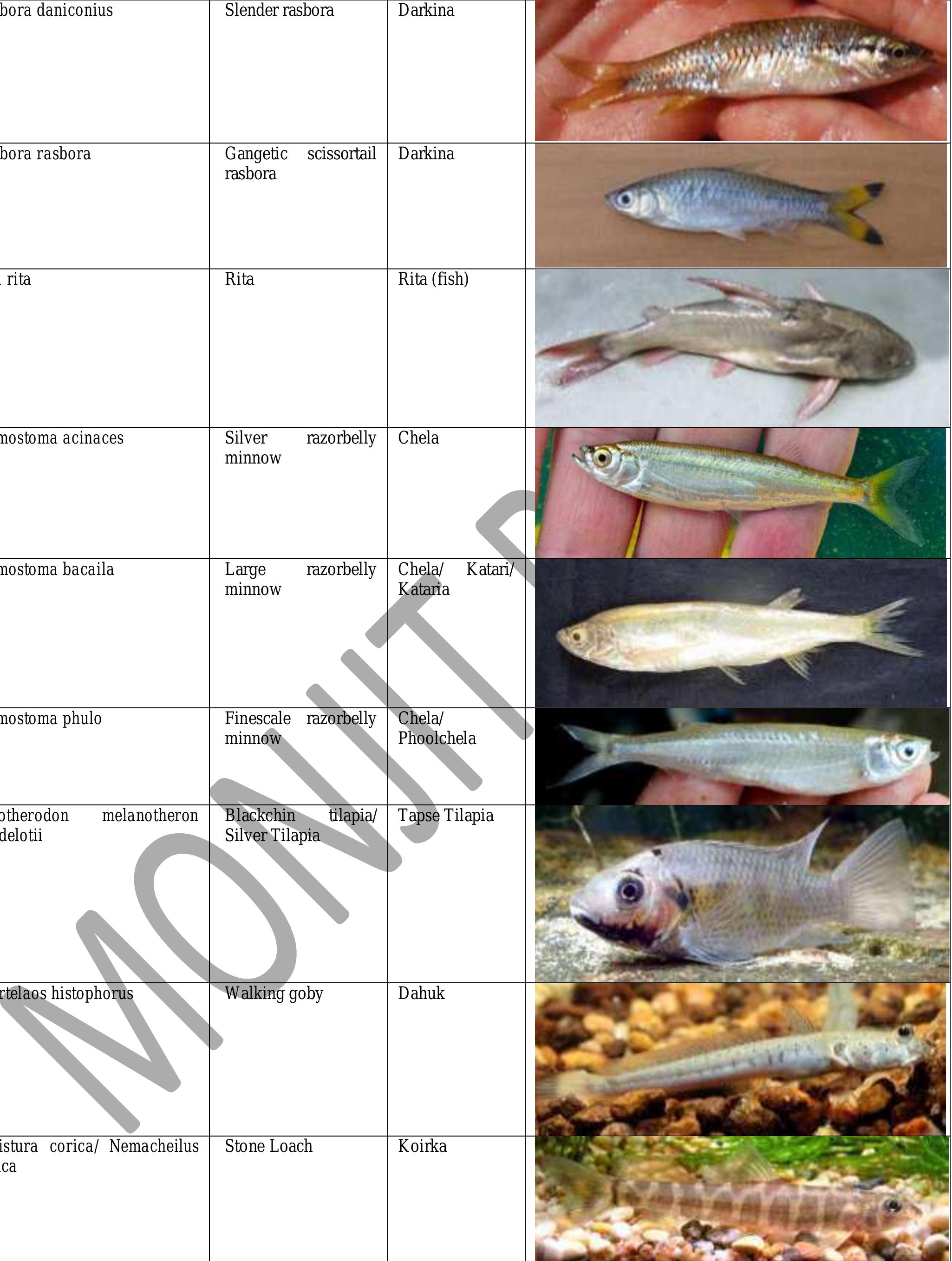 Fishes and non-fish aquatic organisms of west bengal